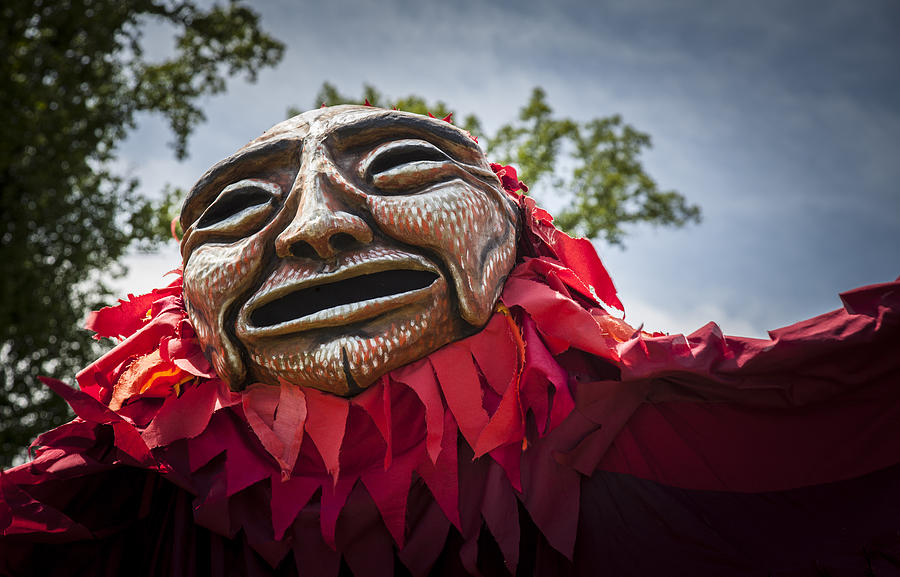 LEAF Sun Puppet Photograph by James Robinson - Fine Art America