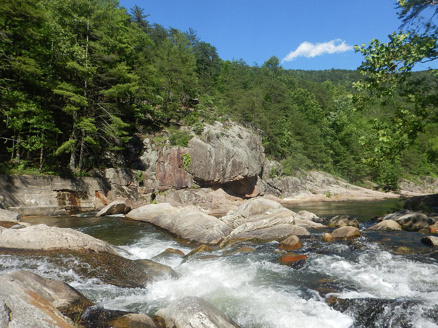 Lenoir Photograph by Paula OMalley | Fine Art America