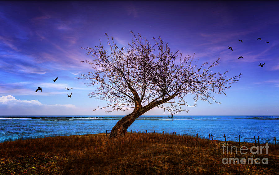 Lone tree Digital Art by Alina Nash | Fine Art America