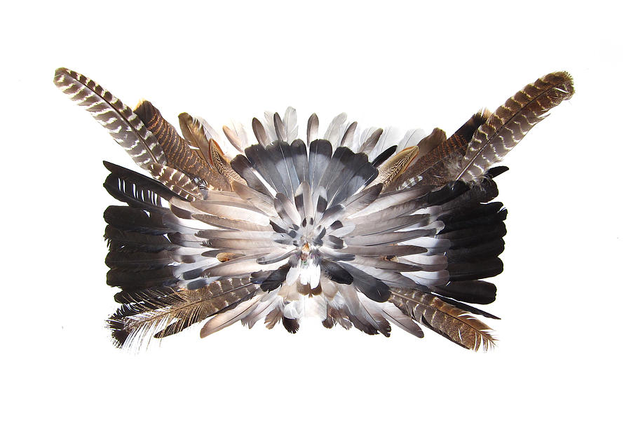 Look Without Seeing Mixed Media by Jess Rees - Fine Art America