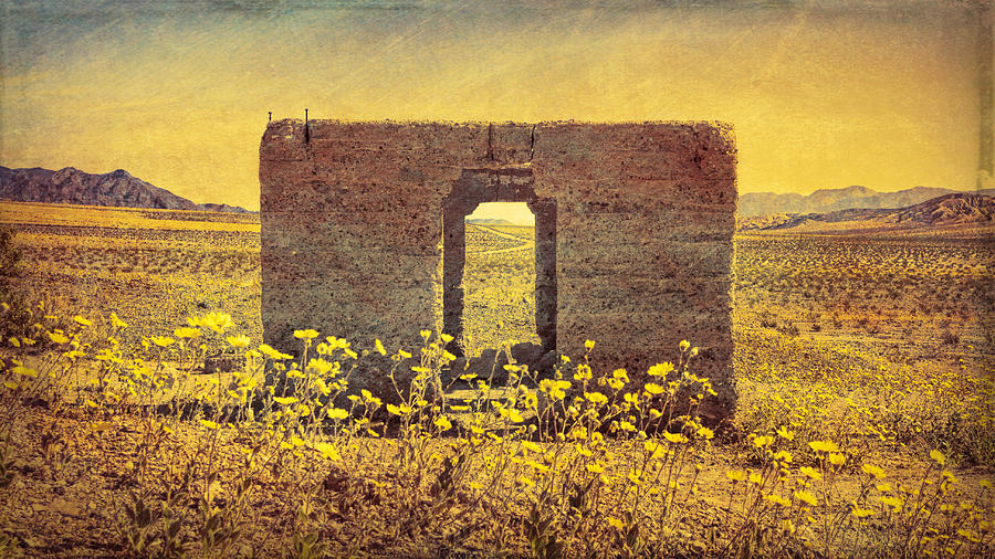 Looking Through Time Photograph by Rick Wicker | Fine Art America