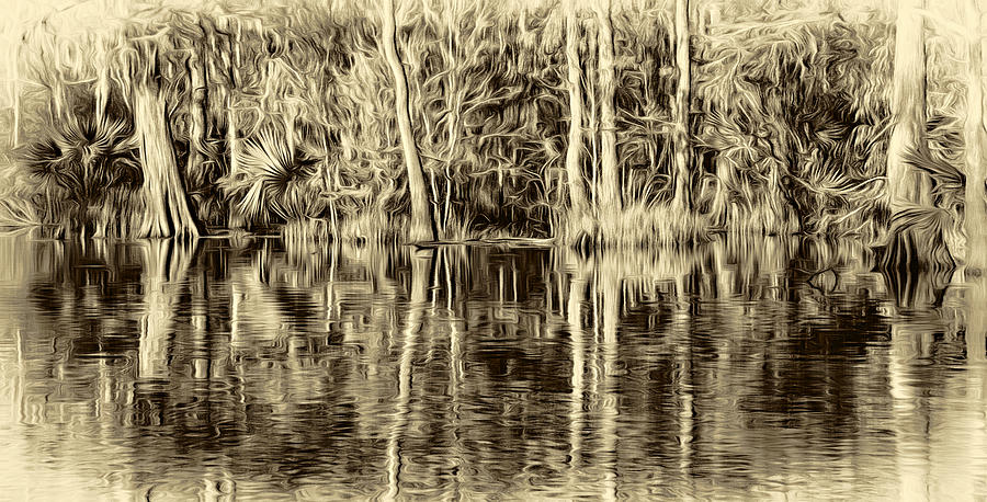 Louisiana Bayou 3 - Paint Sepia Photograph by Steve Harrington - Fine ...