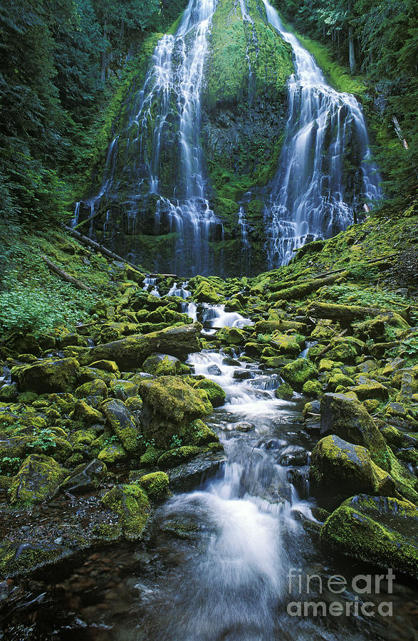 Lower Proxy Falls Photograph by Greg Vaughn - Printscapes - Fine Art America