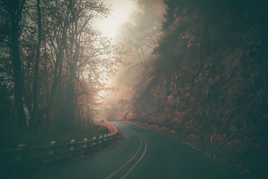 Magical road Photograph by Robert Smith | Fine Art America