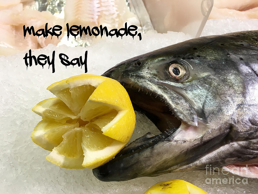 Make lemonade Photograph by Cat Bluegate - Fine Art America