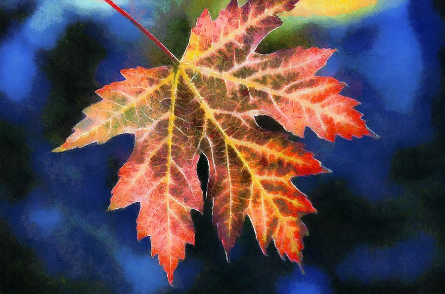 Maple Leaf Digital Art by Labron Jacobs - Fine Art America