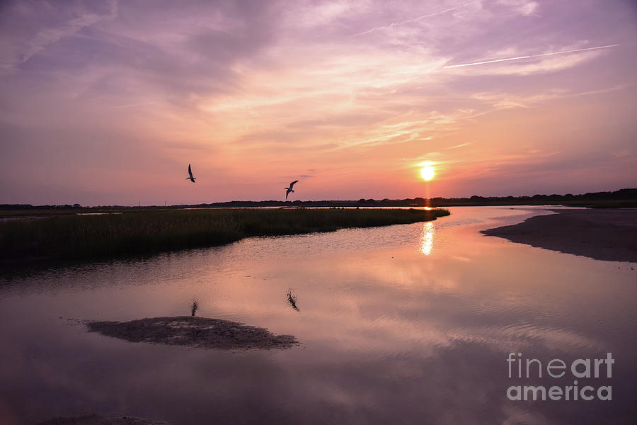 Marsh Sunset Photograph by Brittany Rose - Fine Art America