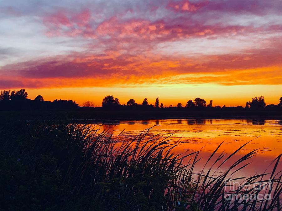 MarshLand Sunset Enhanced Photograph by Chris Dippel - Fine Art America