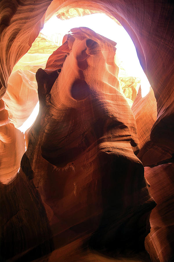 Maxwell's Demon Photograph by David Pyle