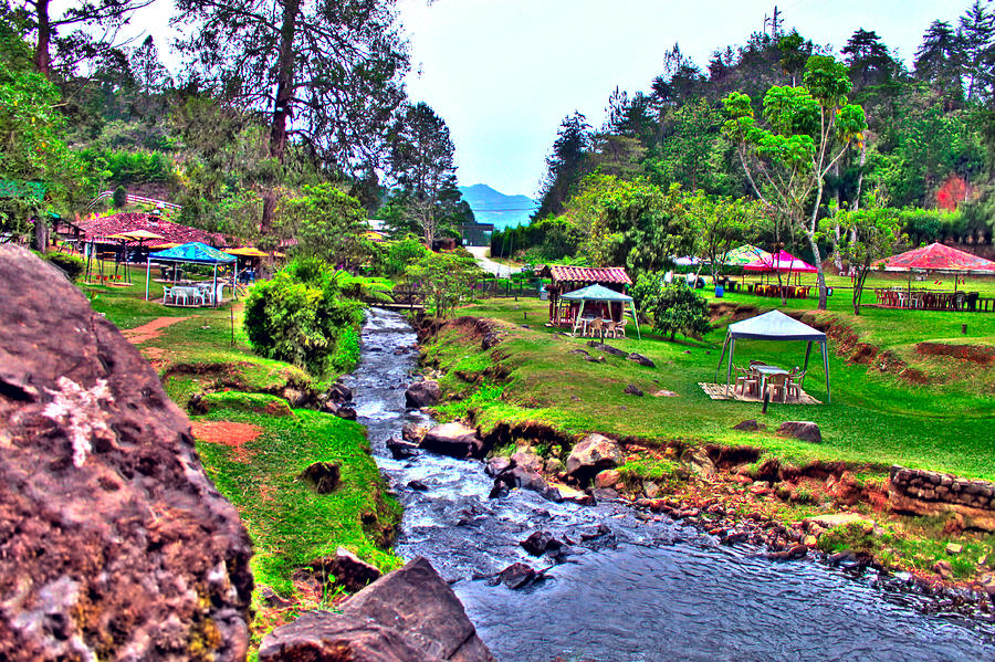 Medellin Eternal Springtime Photograph by Francisco Colon | Fine Art ...