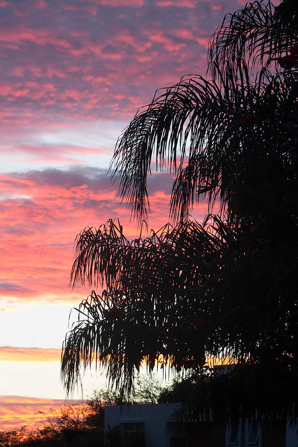 Mexican Sunset Photograph by Shirley Cates | Fine Art America