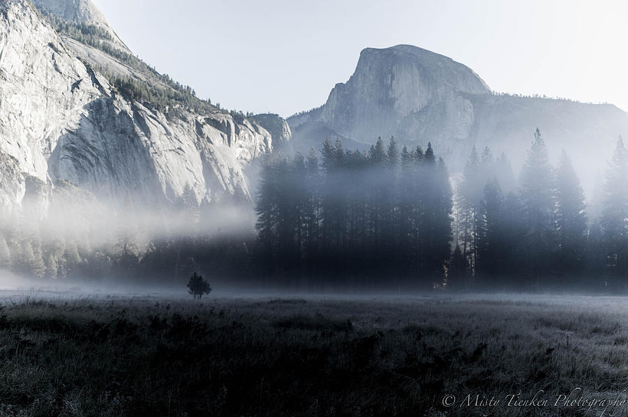 Misty Morning Photograph by Misty Tienken - Fine Art America