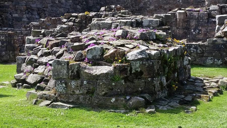 Monastic Rockery Photograph by Emma Hayman - Fine Art America