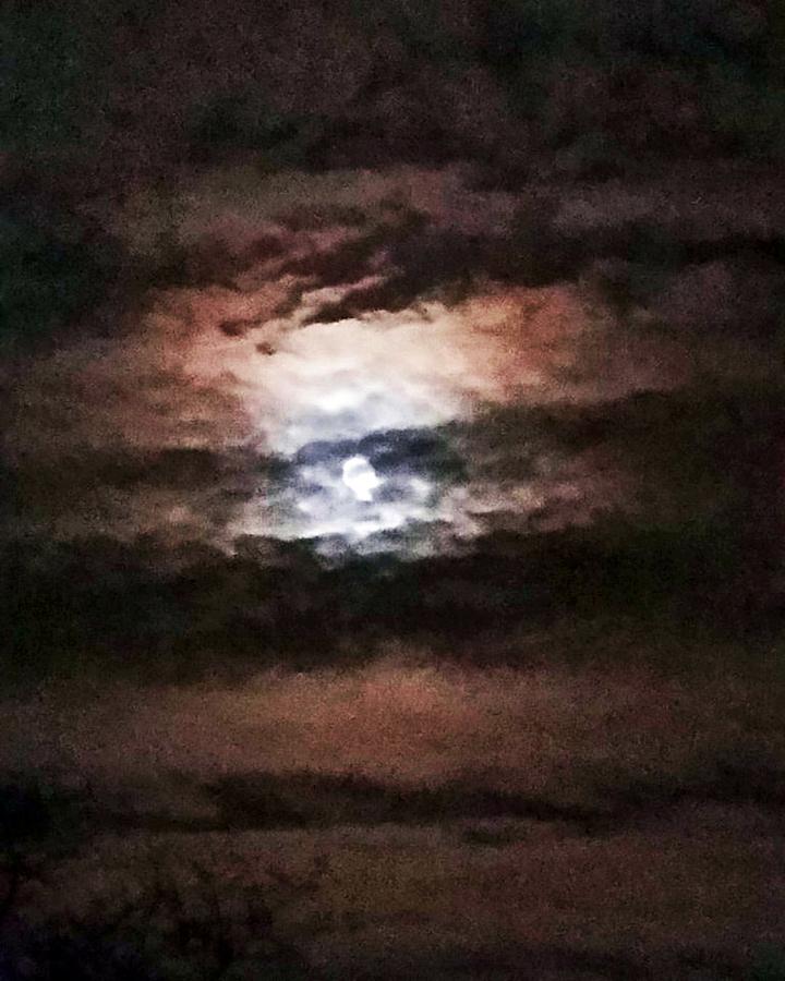 Moonlight Photograph by Destiny Rutledge - Fine Art America