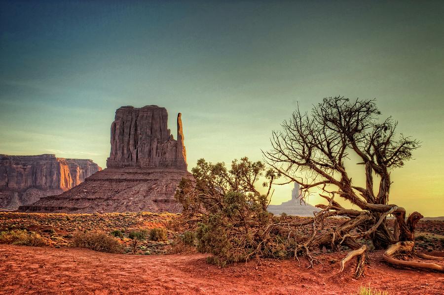 Morning Glow Photograph by Fred Hahn - Fine Art America