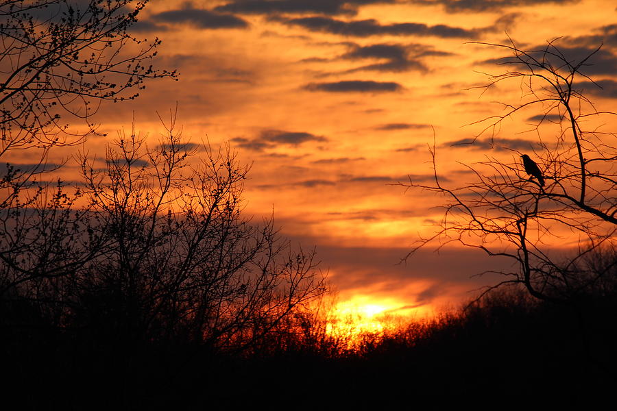 Morning View Photograph by Billy Myers - Fine Art America