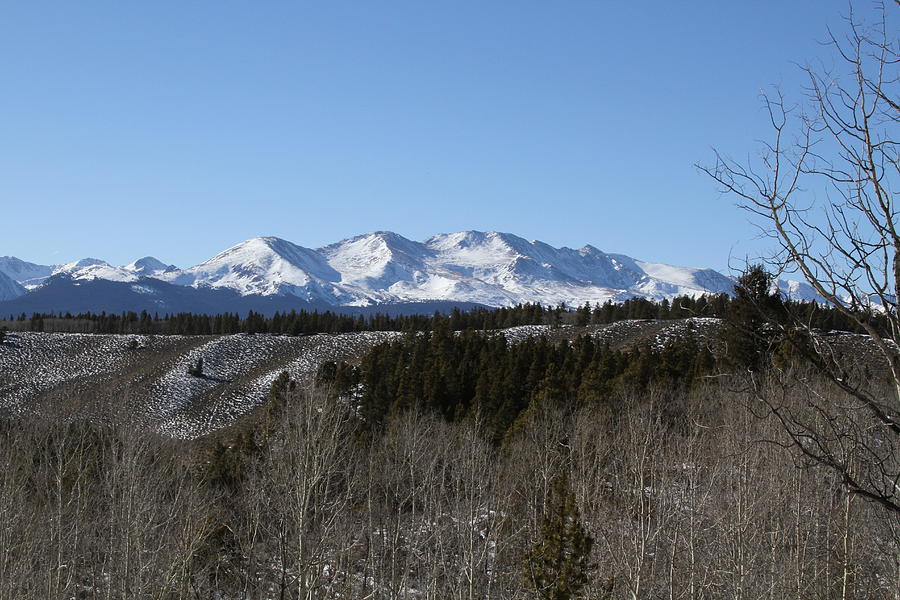 Mt. Massive Photograph by Heather Ormsby - Fine Art America