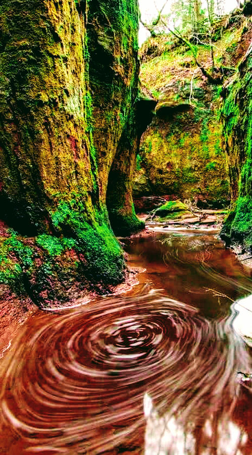 Muddy Water Spring Photograph by Crystal Cafiero - Fine Art America