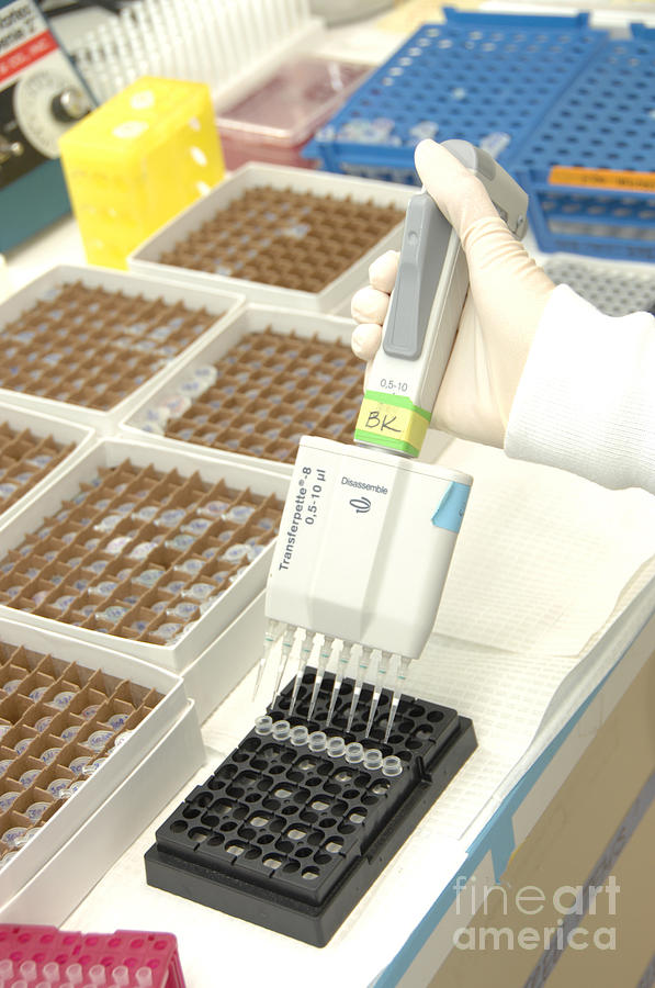 Multi-channel Pipette Photograph by Science Source - Fine Art America