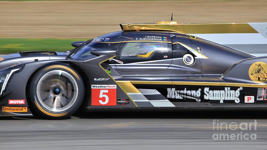 Mustang Sampling Racing Photograph by Douglas Sacha - Pixels