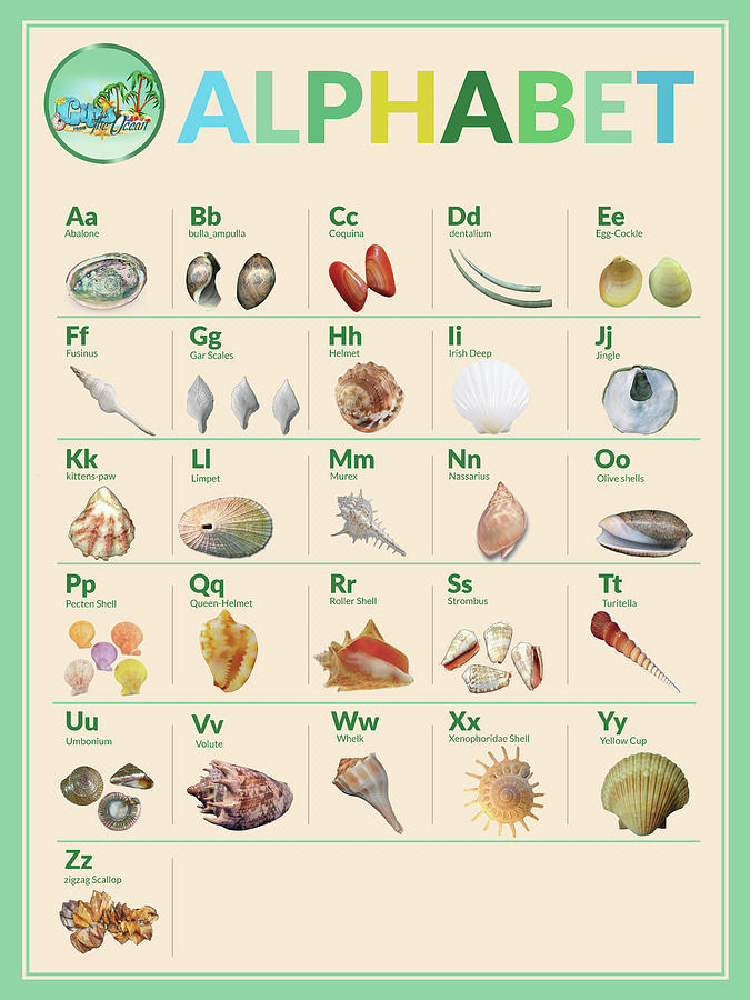 Nautical Alphabet Poster Digital Art by Sterlin Blackman - Pixels