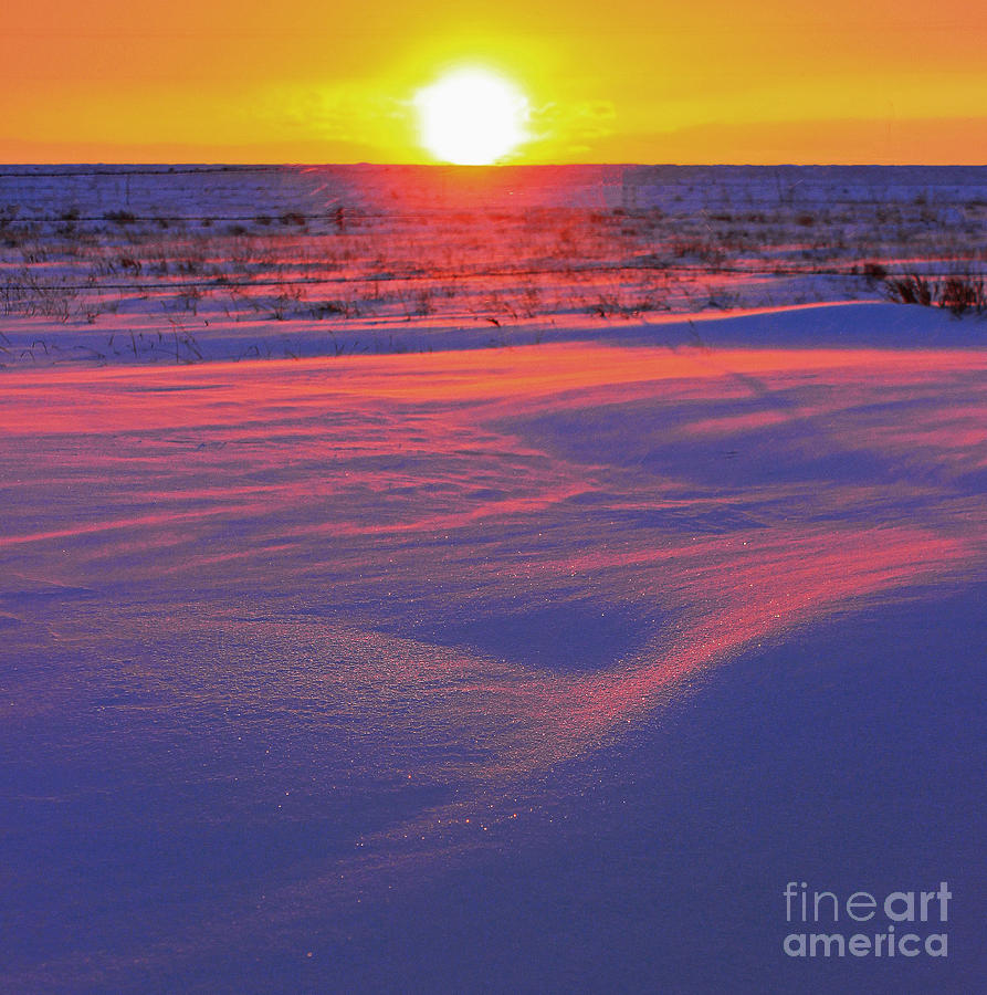 Neon dawn Photograph by Wesley Hahn - Fine Art America