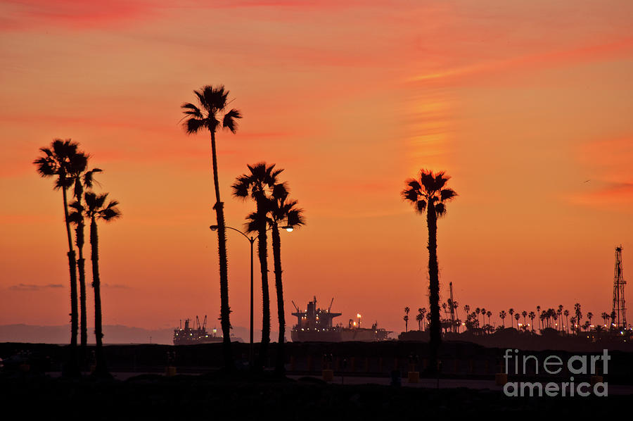 Night Freighter Photograph By Michael Ziegler Fine Art America