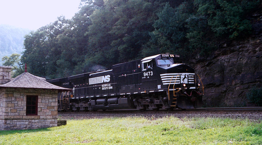 Ns 9473 Photograph by Pat Turner | Fine Art America