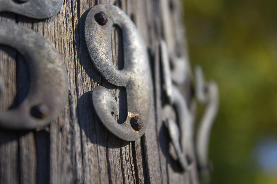 Numbered Photograph by Phoenix Ebner - Fine Art America