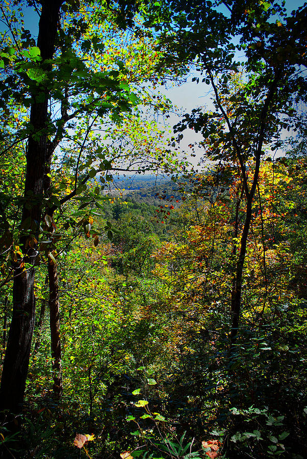 Obscure Mountain View Photograph by Skip Willits | Fine Art America
