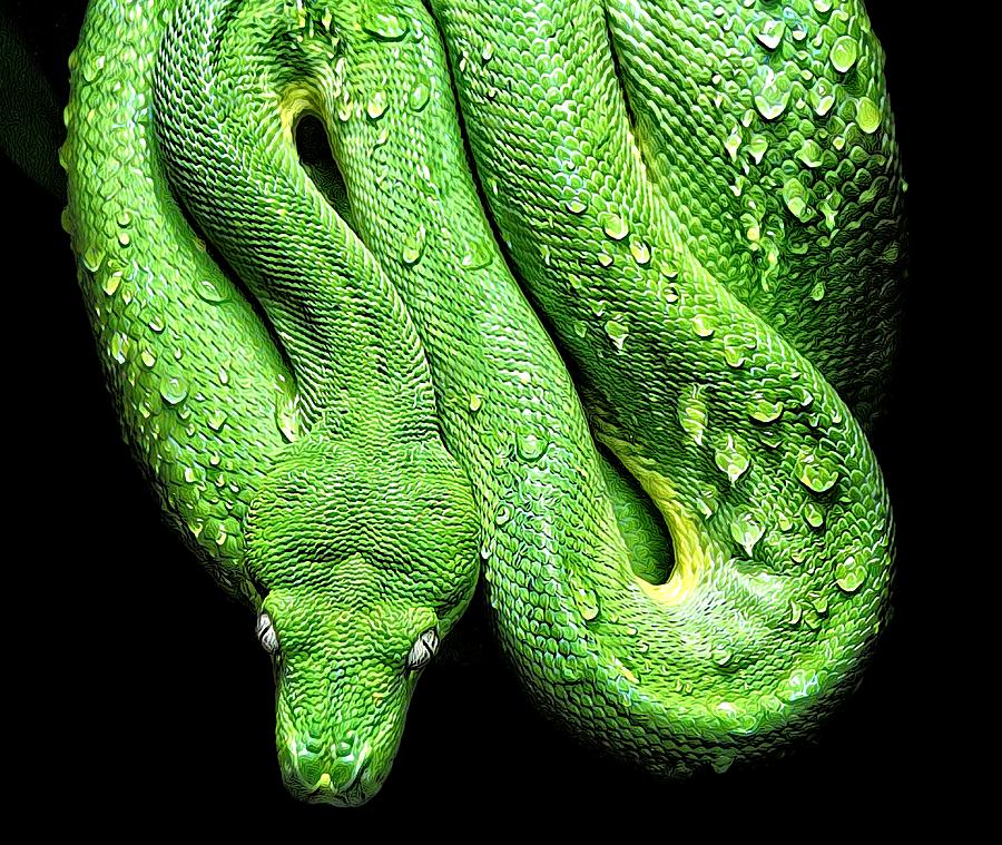 Oh So Green Viper Photograph by Alice Gipson | Fine Art America