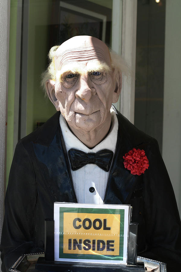 Old Codger in Key West Photograph by Carl Purcell - Fine Art America