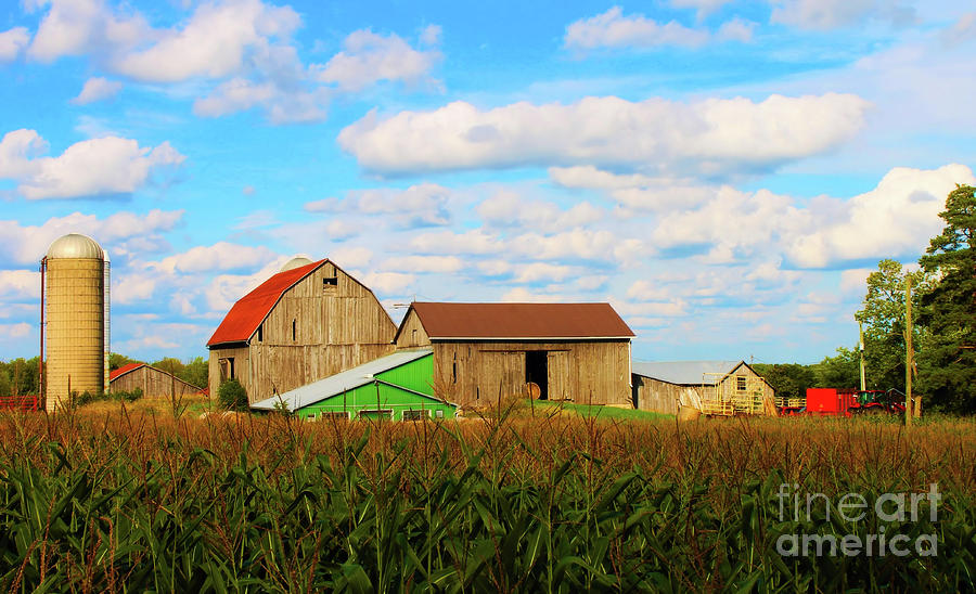 Old Family Farm Photograph by Anthony Djordjevic - Pixels