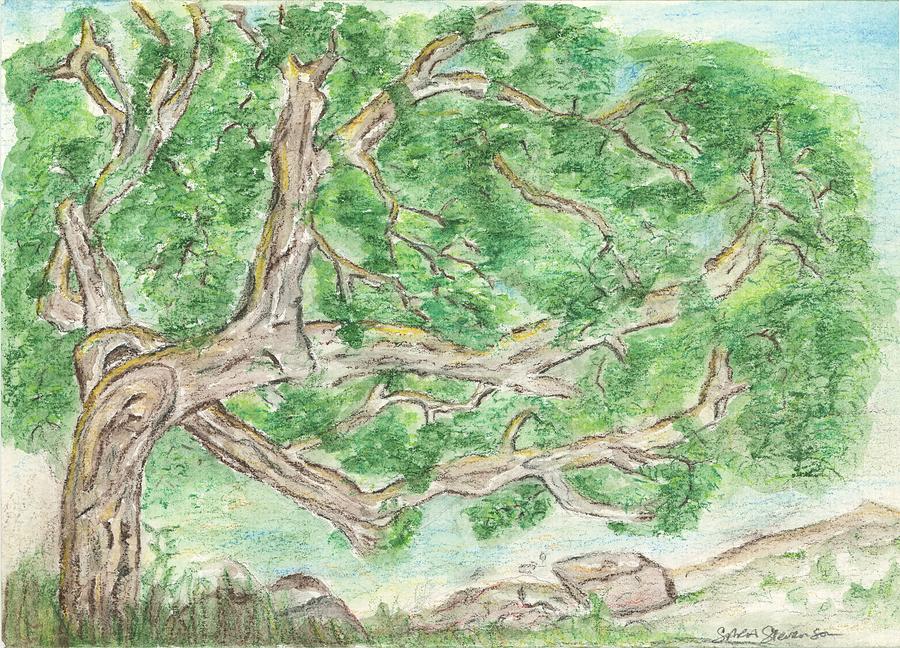 Old Tree Painting by Sara Stevenson - Fine Art America