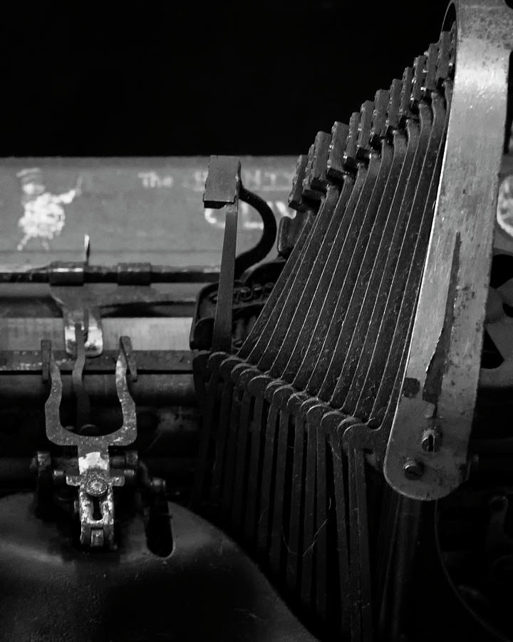 Oliver Photograph by Guy Shultz - Fine Art America