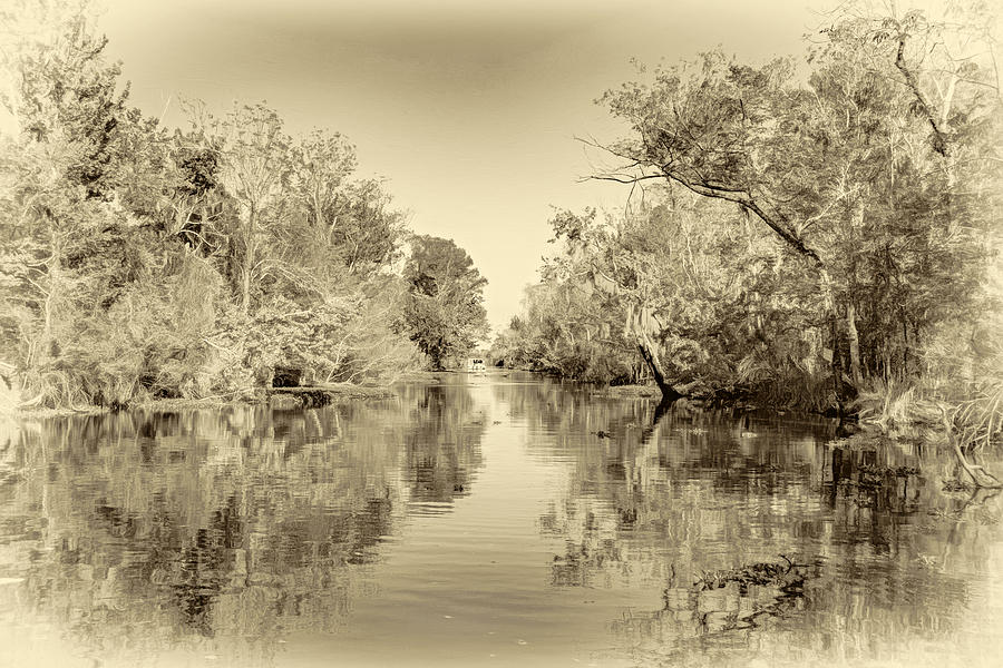 On the Bayou 3 - Sepia Photograph by Steve Harrington | Fine Art America