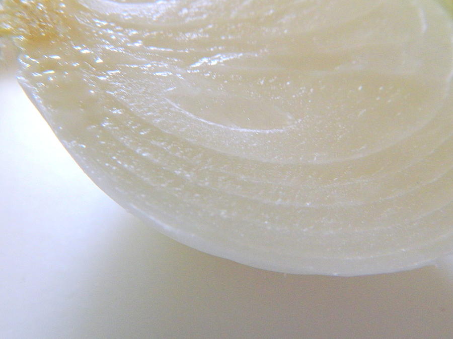 Onion Abstract - 1 Photograph by Arlane Crump - Fine Art America