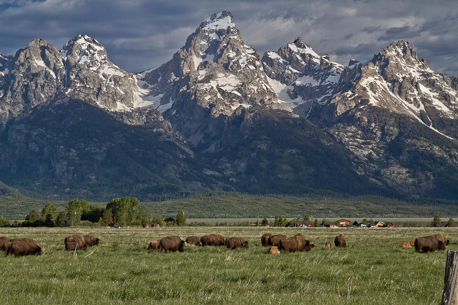 Open Range Photograph by John Razza - Fine Art America