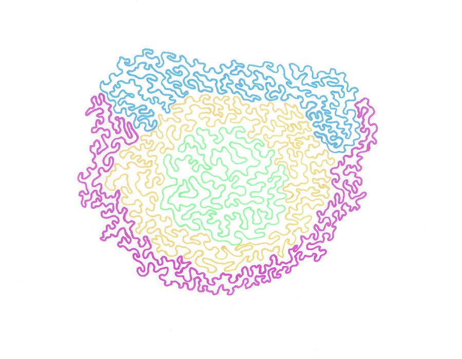 Openness Drawing by Valeri McLaughlin - Fine Art America