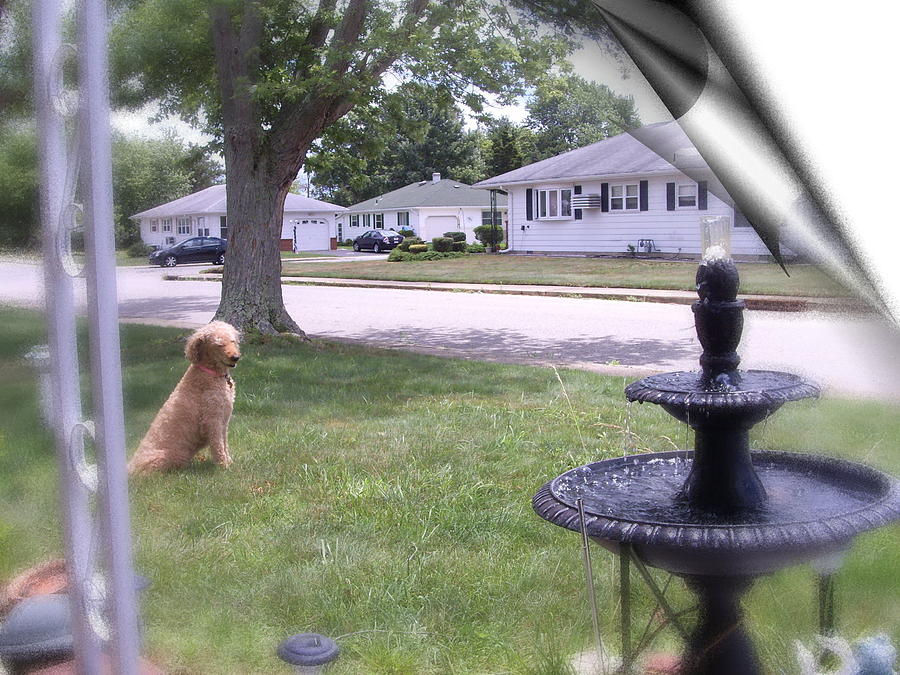 Page in Time Photograph by Desline Vitto - Fine Art America