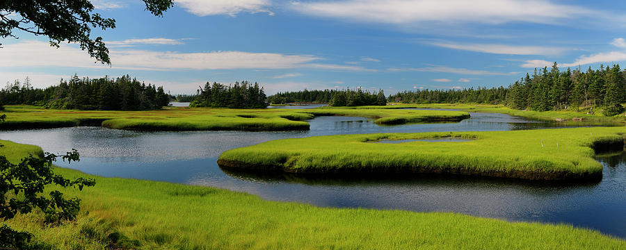 Panorama Of Tide Pool Water With Salt Marsh Cordgrass On Cape Sa Photograph By Reimar Gaertner