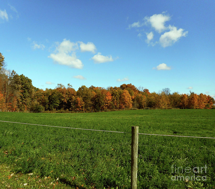 Pasture In The Fall Photograph by Tiffany Labas - Fine Art America