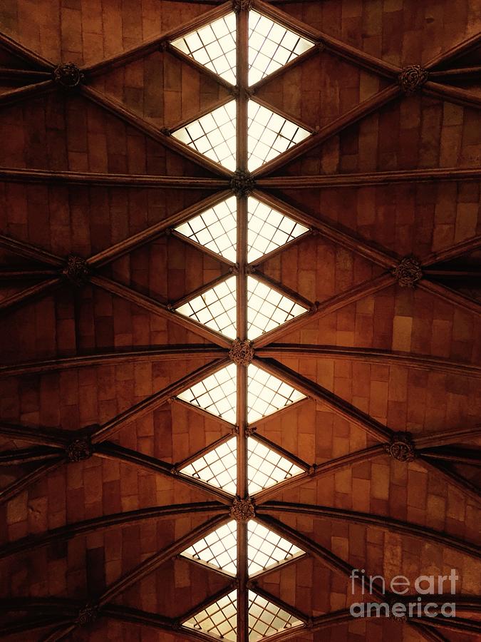 Patchwork Photograph by Rachel Gilman - Fine Art America