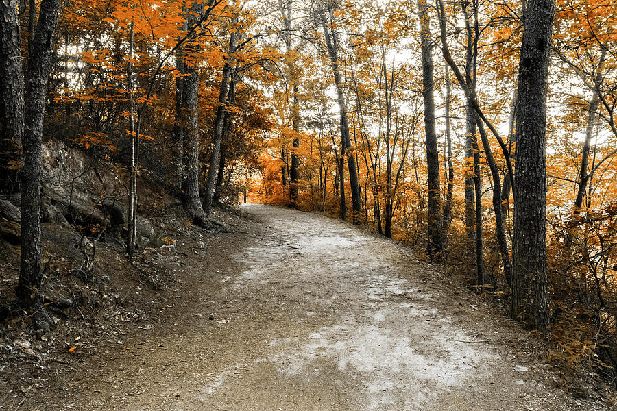 Path at Tallulah Gorge Photograph by Michael Perlin - Fine Art America