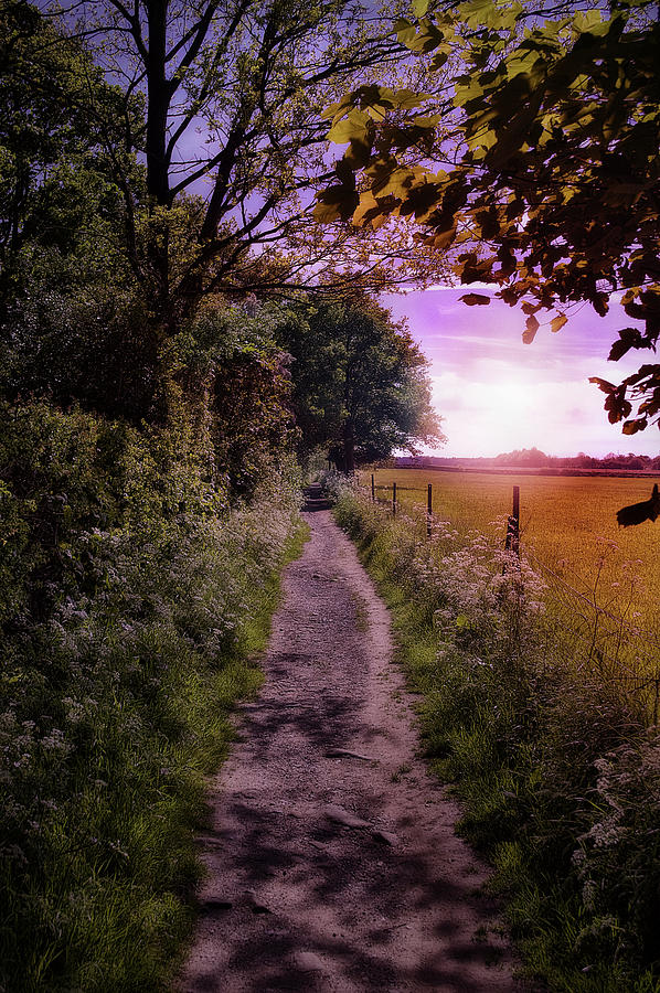 Path Digital Art by Mark Hunter | Fine Art America
