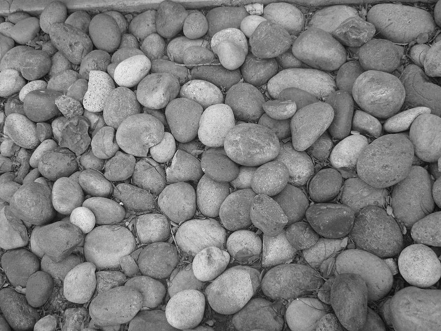 Pattern 2 Photograph by Austin Morelli - Fine Art America