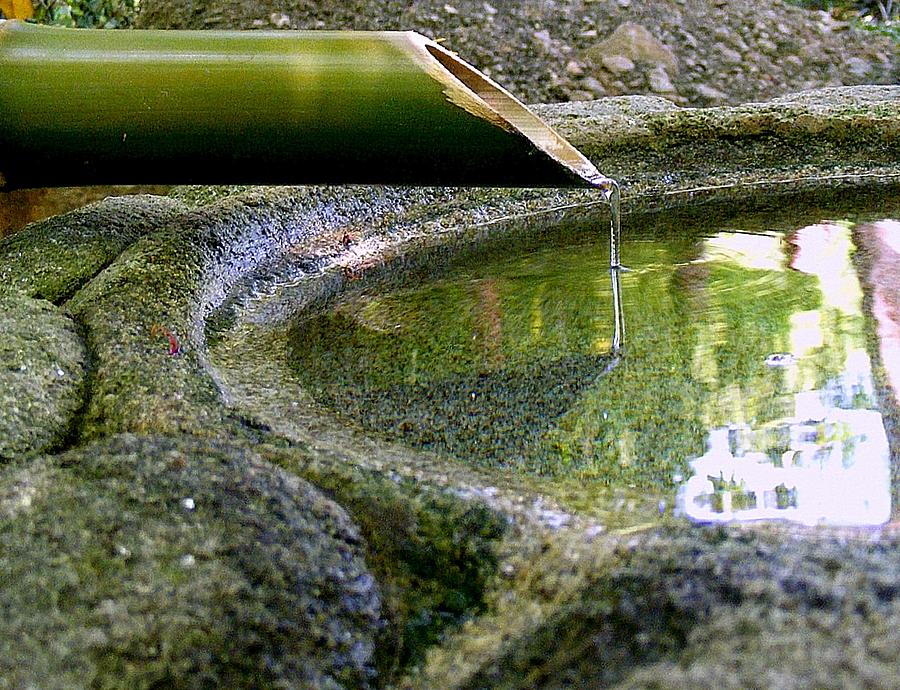 Peaceful Flow Photograph By Sherwanda Irvin Fine Art America