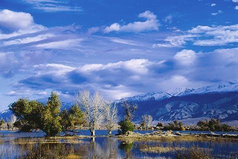 Peaceful Morning Pond Photograph by Karen Dominguez-Cavin - Fine Art ...