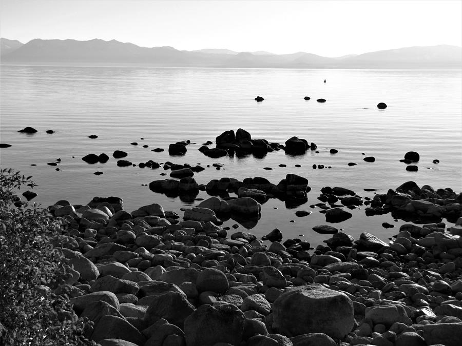 Peaceful Stillness Photograph by Judy Nelson - Fine Art America