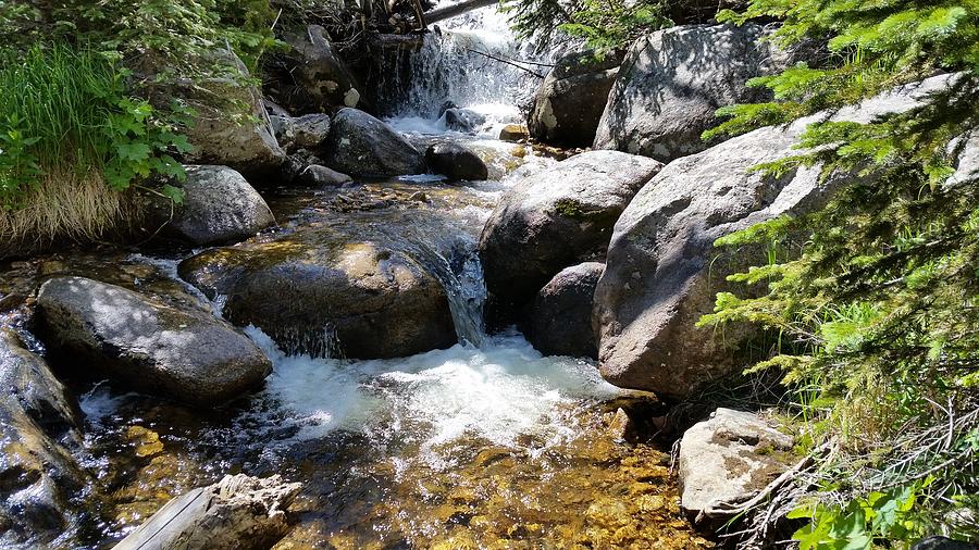Peaceful Stream Photograph by Dennis Boyd - Fine Art America